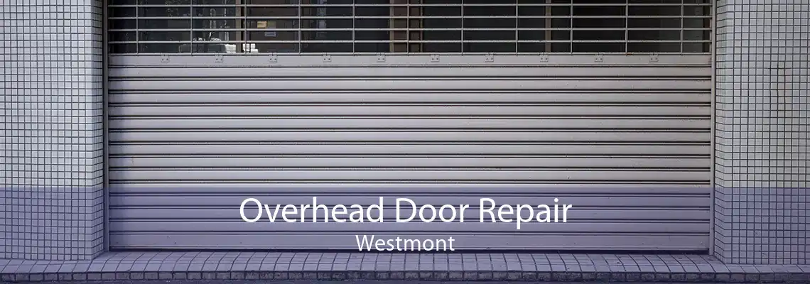 Overhead Door Repair Westmont | Overhead Door Repairing
